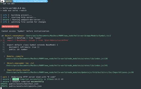 cannot access symbol before initialization · issue 3753 · adonisjs