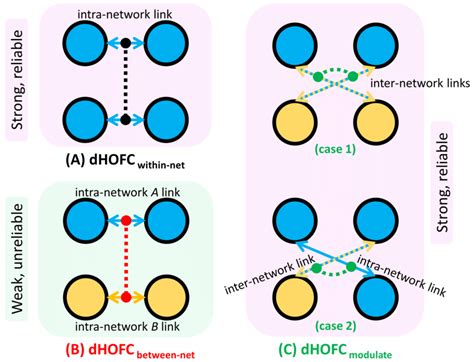 different types of dynamics based high order functional connectivity