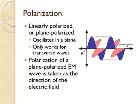 Define Electric Polarization At Bill Hubbard Blog