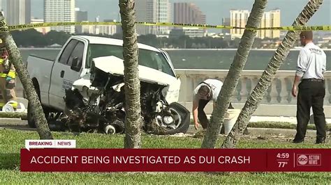 Jogger Killed In Dui Crash Along Bayshore Boulevard