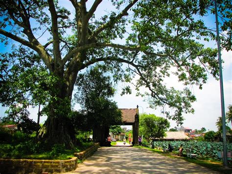 Văn Hoá Dân Tộc Việt Nam Và Những đặc Trưng Tiêu Biểu Heritage