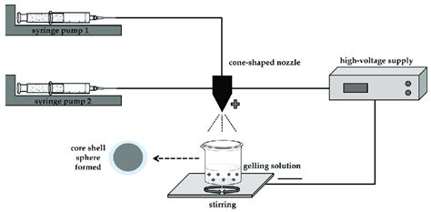 Schematic Representation Of Microencapsulation Process By Coaxial