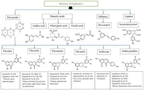 Nutrients Free Full Text Polyphenols And Glycemic Control