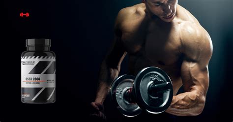 Meilleur Booster De Testostérone Avis Et Top 3 Des Plus Efficaces