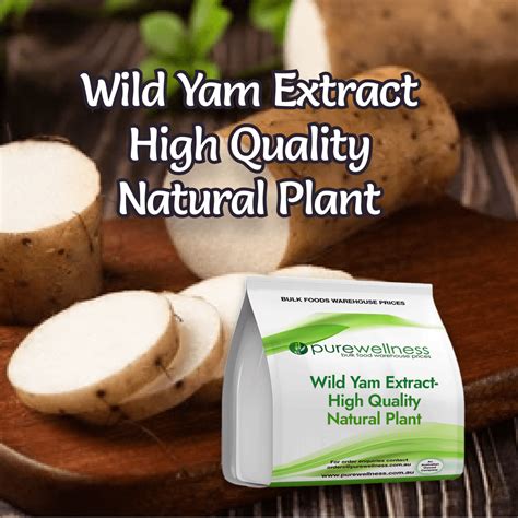Wild Yam Extract High Quality Natural Plant — Purewellness