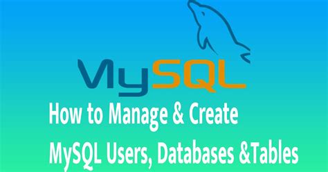 how to manage and create mysql users databases and tables