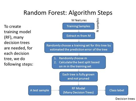 random forest algorithm it is an easy to use machine