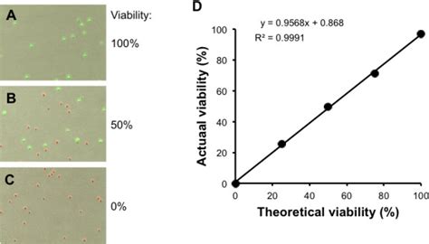 Counting Yeast Cells By Using The Fda Pi Dye A 100 Viability B