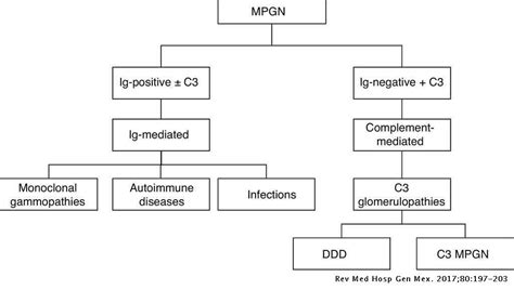 Prevalence Of Membranoproliferative Glomerulonephritis At Hospital