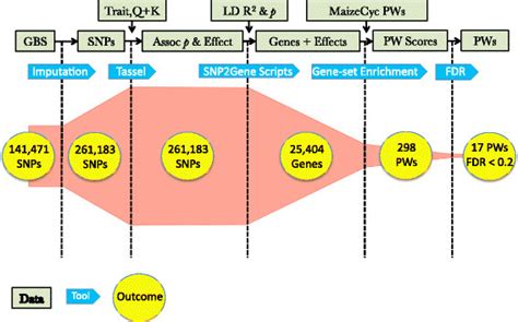 Analysis Pipeline That Coupled The Gwas Linkage Disequilibrium And