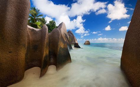 Landscape Beach Sand Sea Trees Summer Palm Trees 480p Rock
