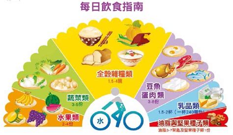 健康刊物 全民健康基金會