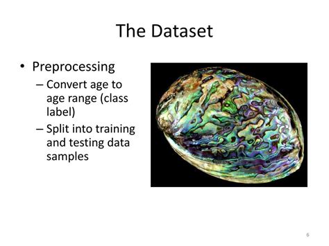 ppt age of abalones using physical characteristics a