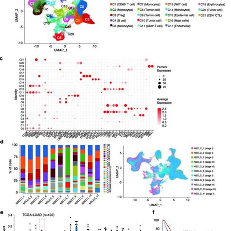 Single Cell Transcriptomic Analysis Reveals The Transcriptome Of Cells