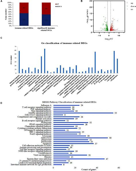 Frontiers Enhanced Immune Response Improves Resistance To Cadmium