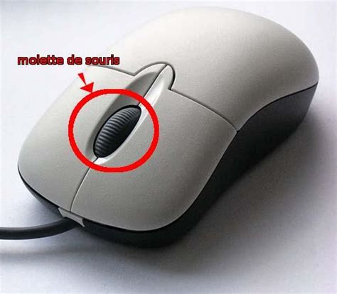 les raccourcis 1 À découvrir