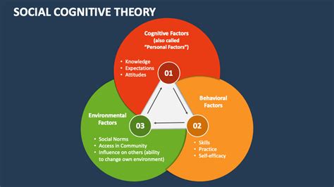 Cognitive Theory