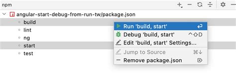 npm pnpm and yarn intellij idea documentation