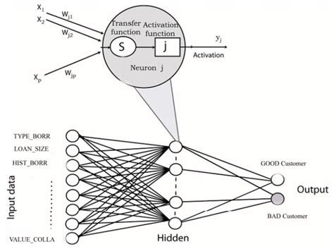 architecture of the mlp network input layer hidden layer and output