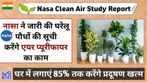 नासा ने जारी की हवा शुद्ध करने वाले पौधों की सूची Nasa Reveals List Of
