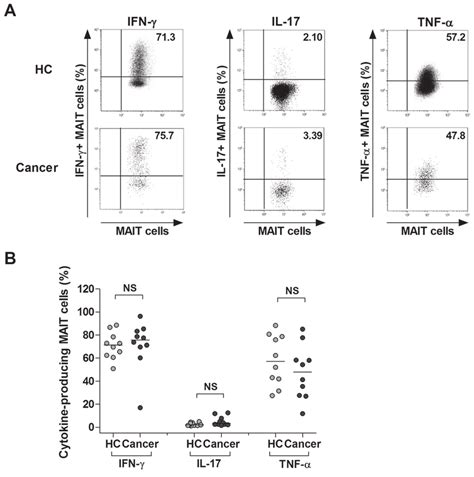 Expression Of Ifn γ Il 17 And Tnf α In Mait Cells Of Mac Patients