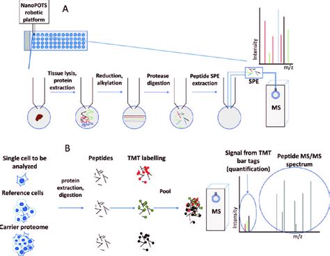 Modern Limited Proteomic Sample Preparation Approaches A Nanopots A