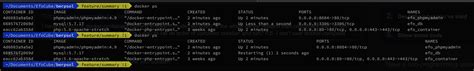 docker container is restarting stack overflow