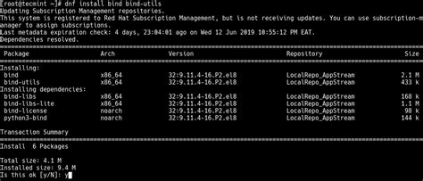 setting up bind as a private dns server on rhel 8