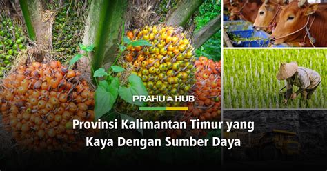 Provinsi Kalimantan Timur Yang Kaya Dengan Sumber Daya