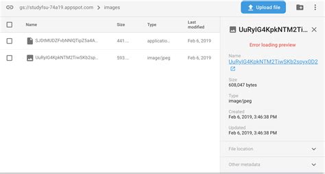 reactjs upload to firebase storage executes but image comes back as a
