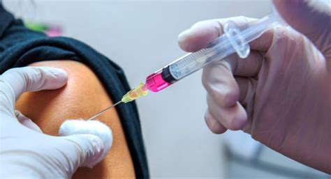 Tratamiento De La Rabia Y Prevención De La Rabia Salud Al Día