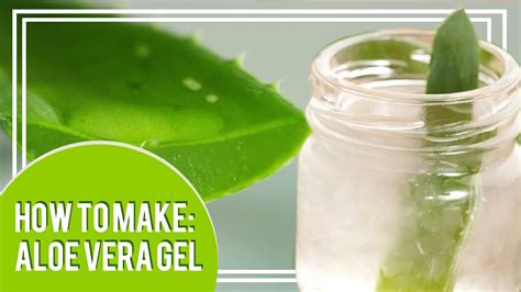 How To Make Aloe Vera Gel At Home Youtube