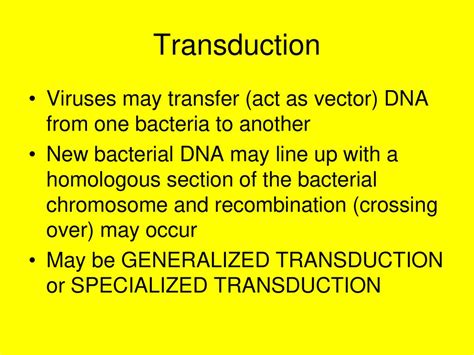 Bacterial Genetics Binary Fission Ppt Download