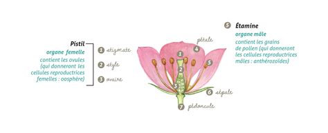La Reproduction Klorane Botanical Foundation