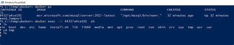 sql server docker copy command doesn t seem to copy