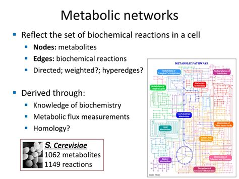 ppt biological networks analysis introduction and dijkstra s