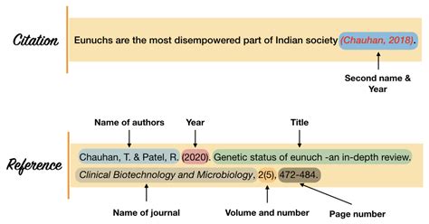 Key Differences Between Citation Vs References Thephdhub