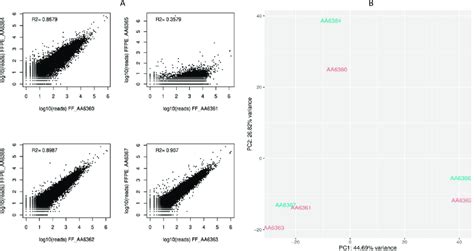 Comparison Of Gene Expression Between Ff And Ffpe Samples A
