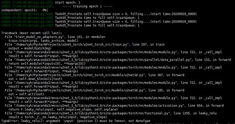 typeerror leaky relu argument input position 1 must be tensor