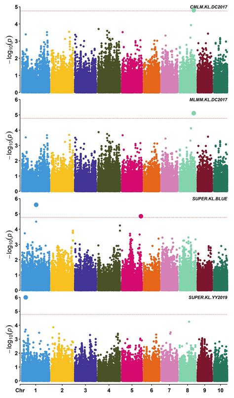 Frontiers Association Mapping And Transcriptome Analysis Reveal The