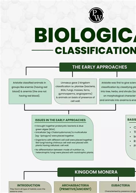 Summary Biological Classification Mind Map Neet Botany Neet Stuvia Us