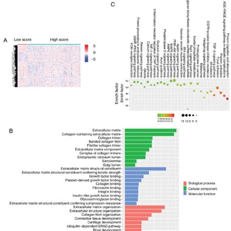 Differential Gene Screening Related To Immune Scores And Enrichment