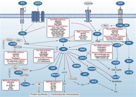 Mastering Biology Oxidative Phosphorylation Concept Map