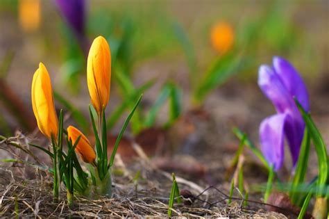 A Beginners Guide To Understanding Depth Of Field