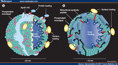 low density lipoprotein like nanoparticles for cancer drug delivery
