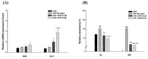 Figure 1 The Effects Of Sfn On The Expression Of Nrf2 And Ho 1 Genes