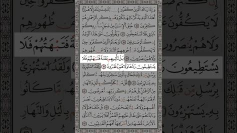 برنامج الاجازة الدرس 3 سورة الانبياء من الاية 30 الى الاية 41 Youtube