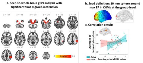 Dose Response Ef Fmri Correlation At The Network Level Integration