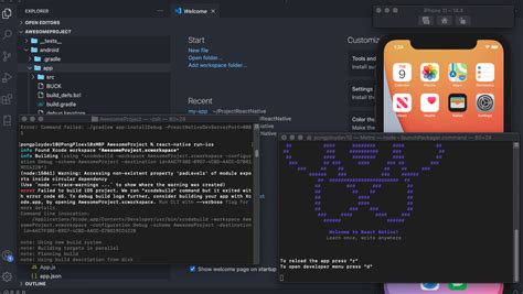 when react native run ios and show error failed to build ios project in