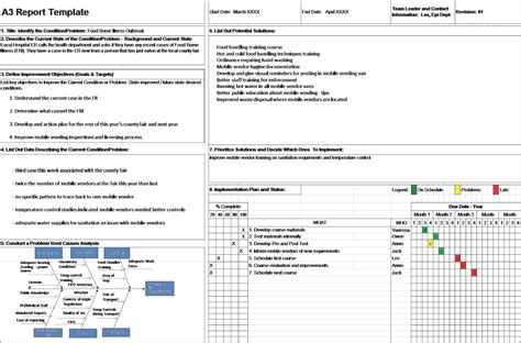 a3 problem solving report